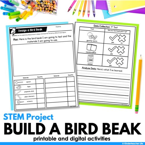 How to Build a Bird Bird STEAM ACTIVITY - A Kinderteacher Life